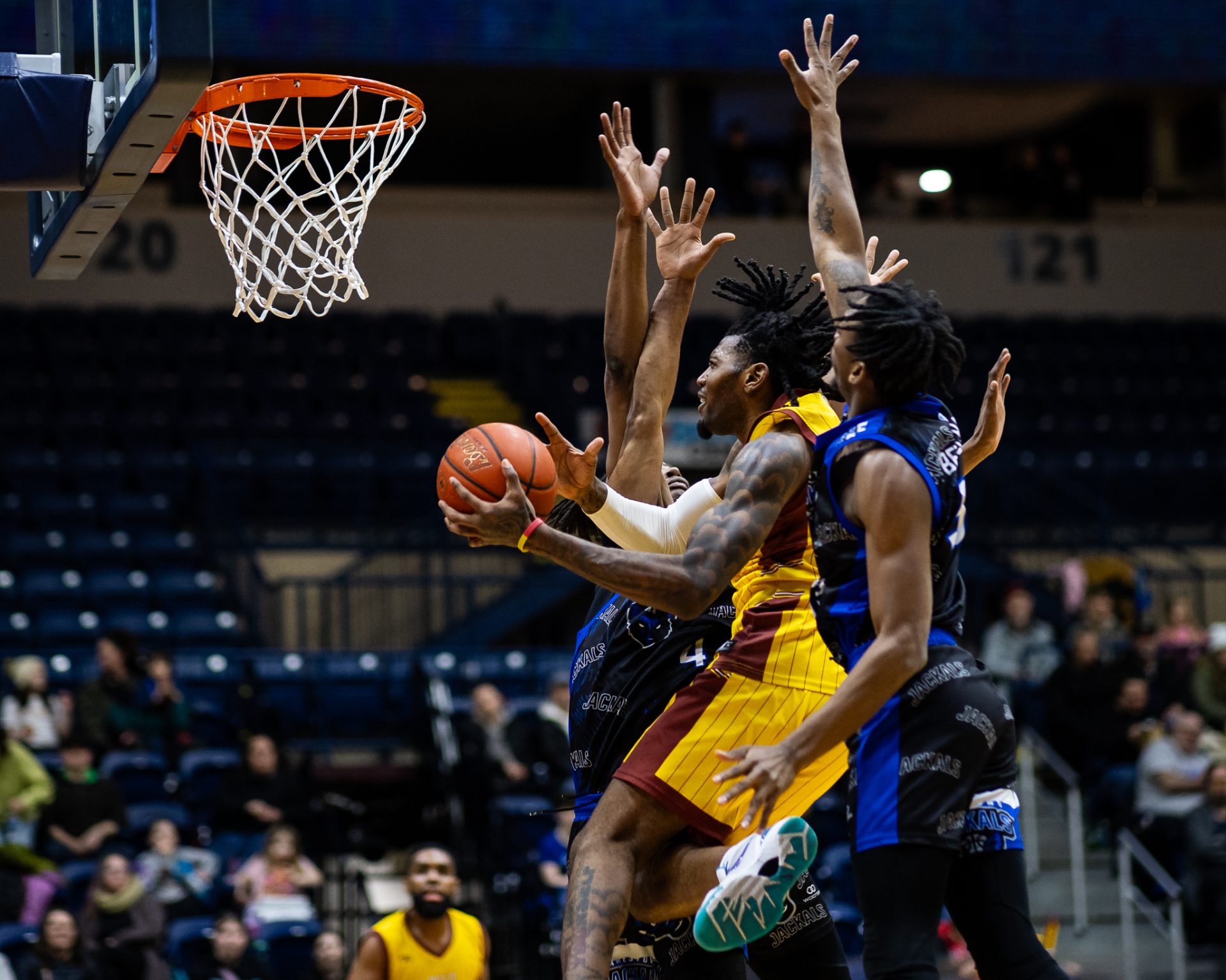 League-leading Five defeat Rogues in afternoon tilt - The Newfoundland ...