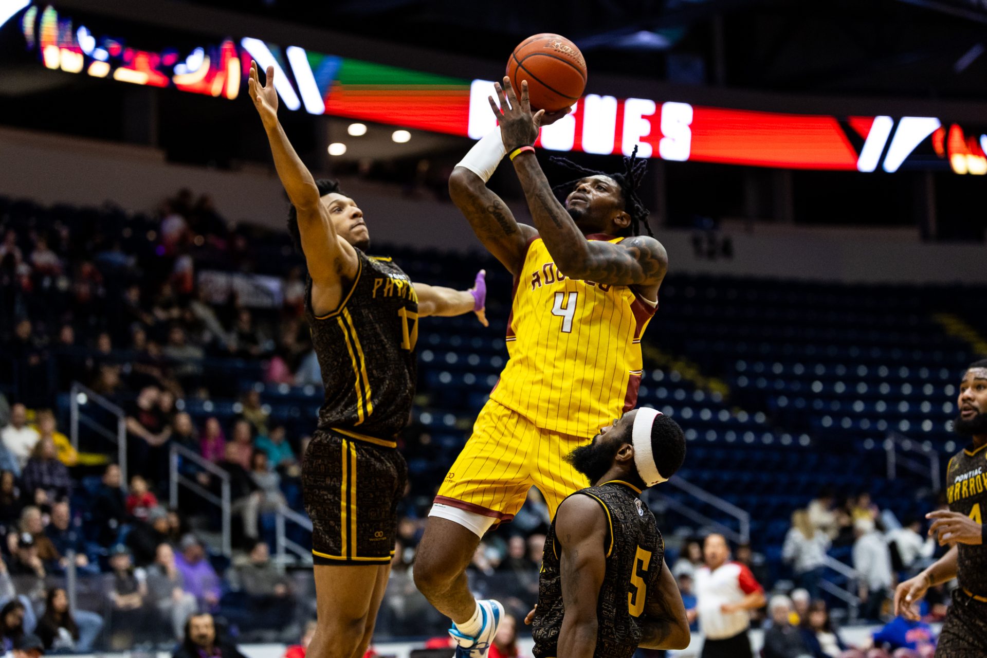 Rogues end road trip with loss in Kitchener - The Newfoundland Rogues