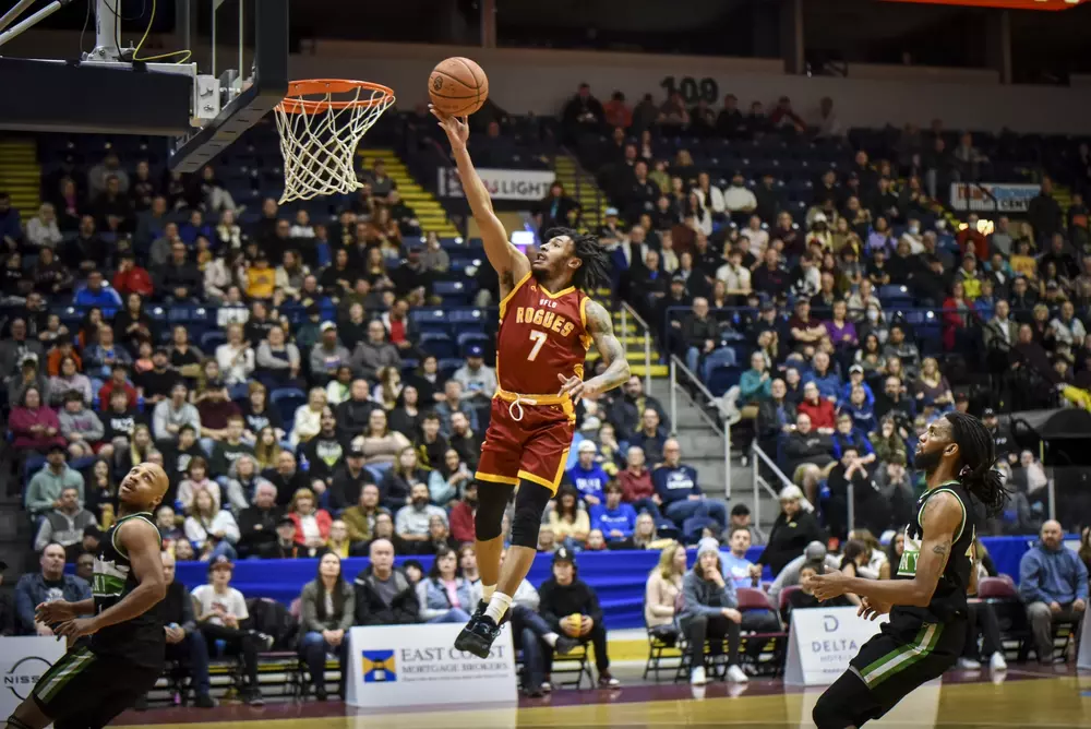Rogues Go Cold, Drop Opener to Patroons - The Newfoundland Rogues