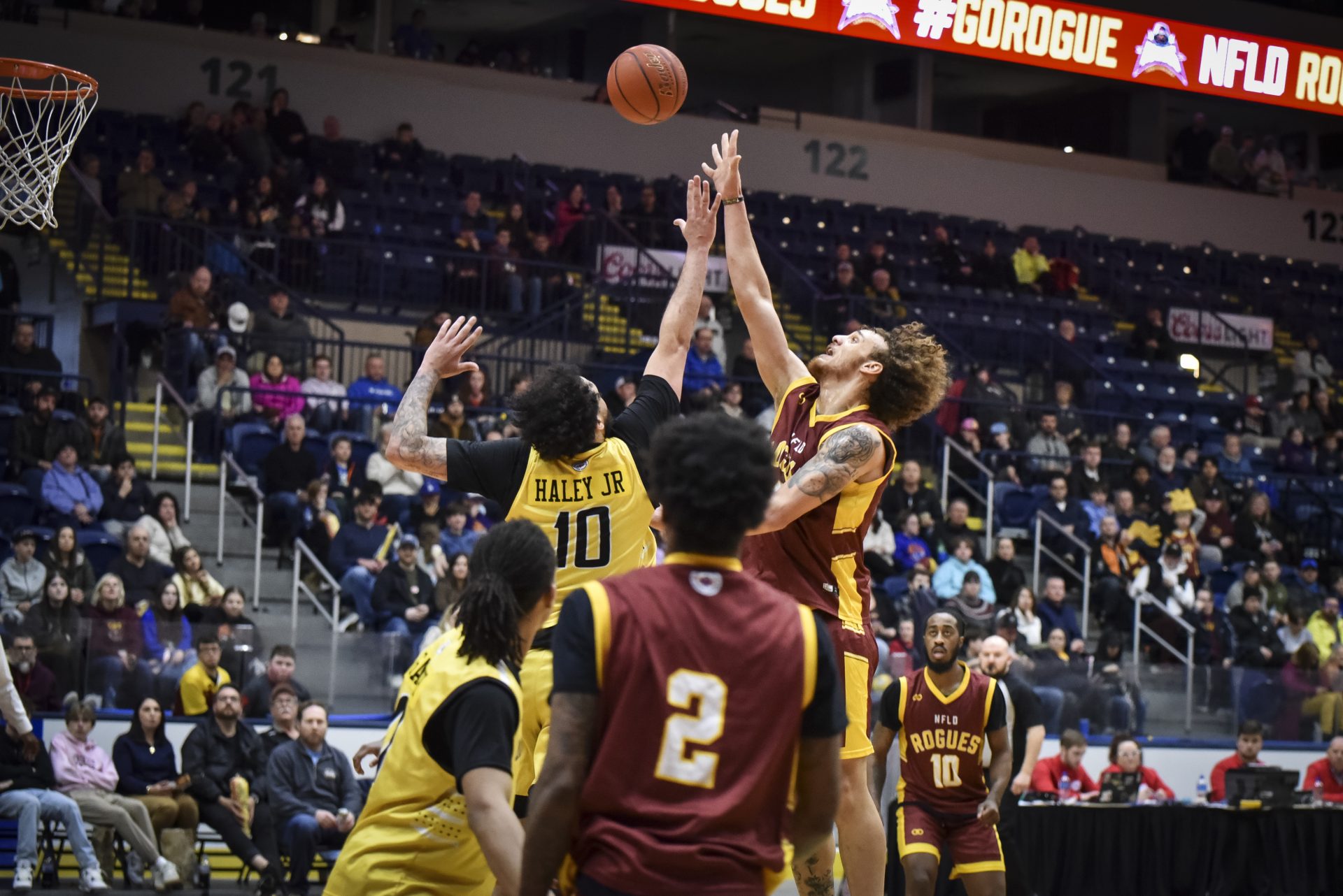 Rogues drop second straight of playoffs vs Titans - The Newfoundland Rogues