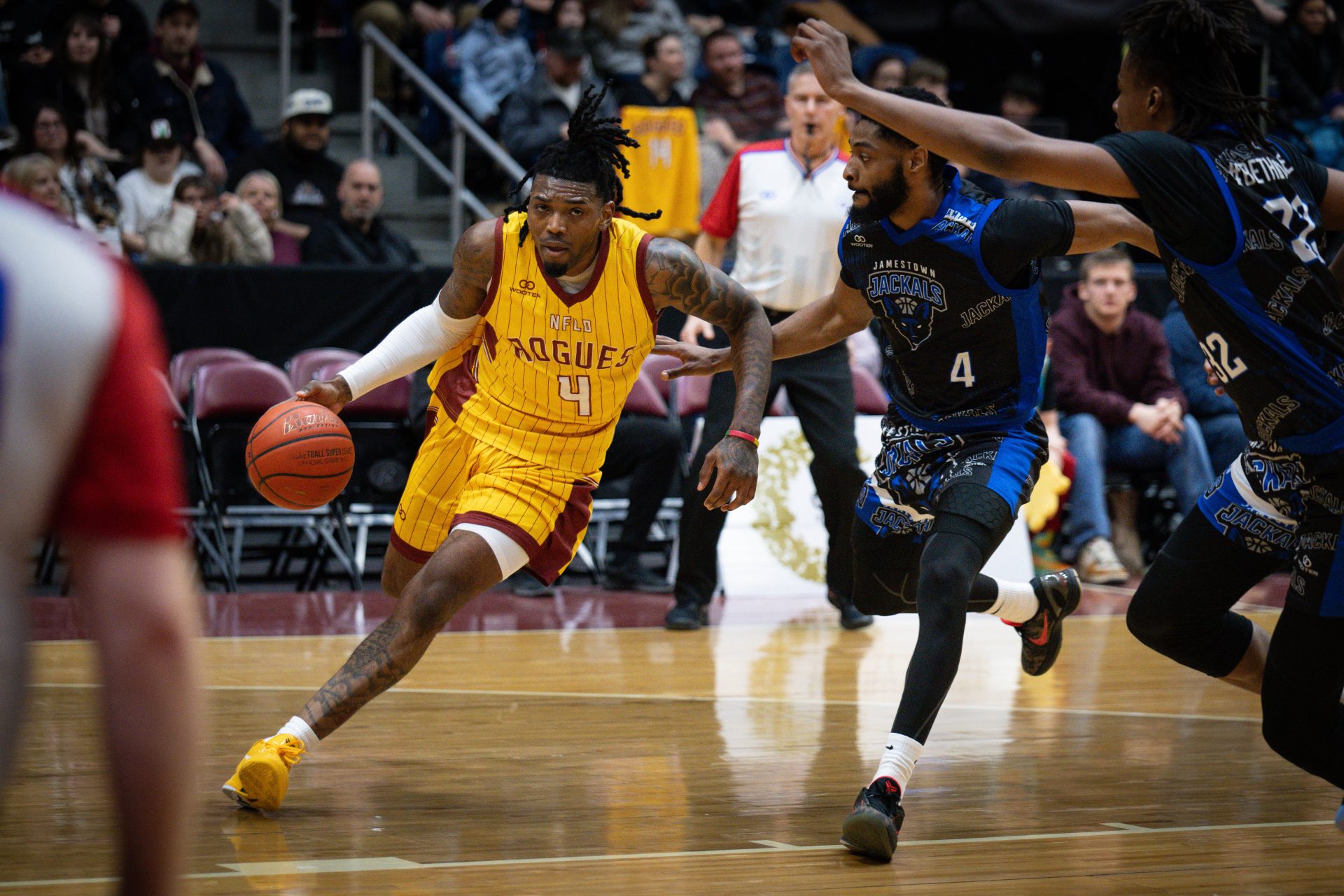 Rogues fall in pivotal road game against Pharaohs - The Newfoundland Rogues