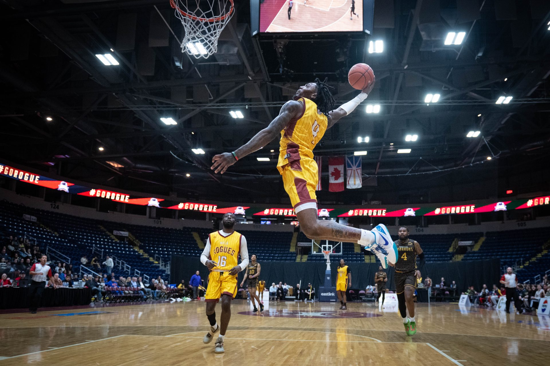 Rogues bounce back in blowout against Pharaohs - The Newfoundland Rogues