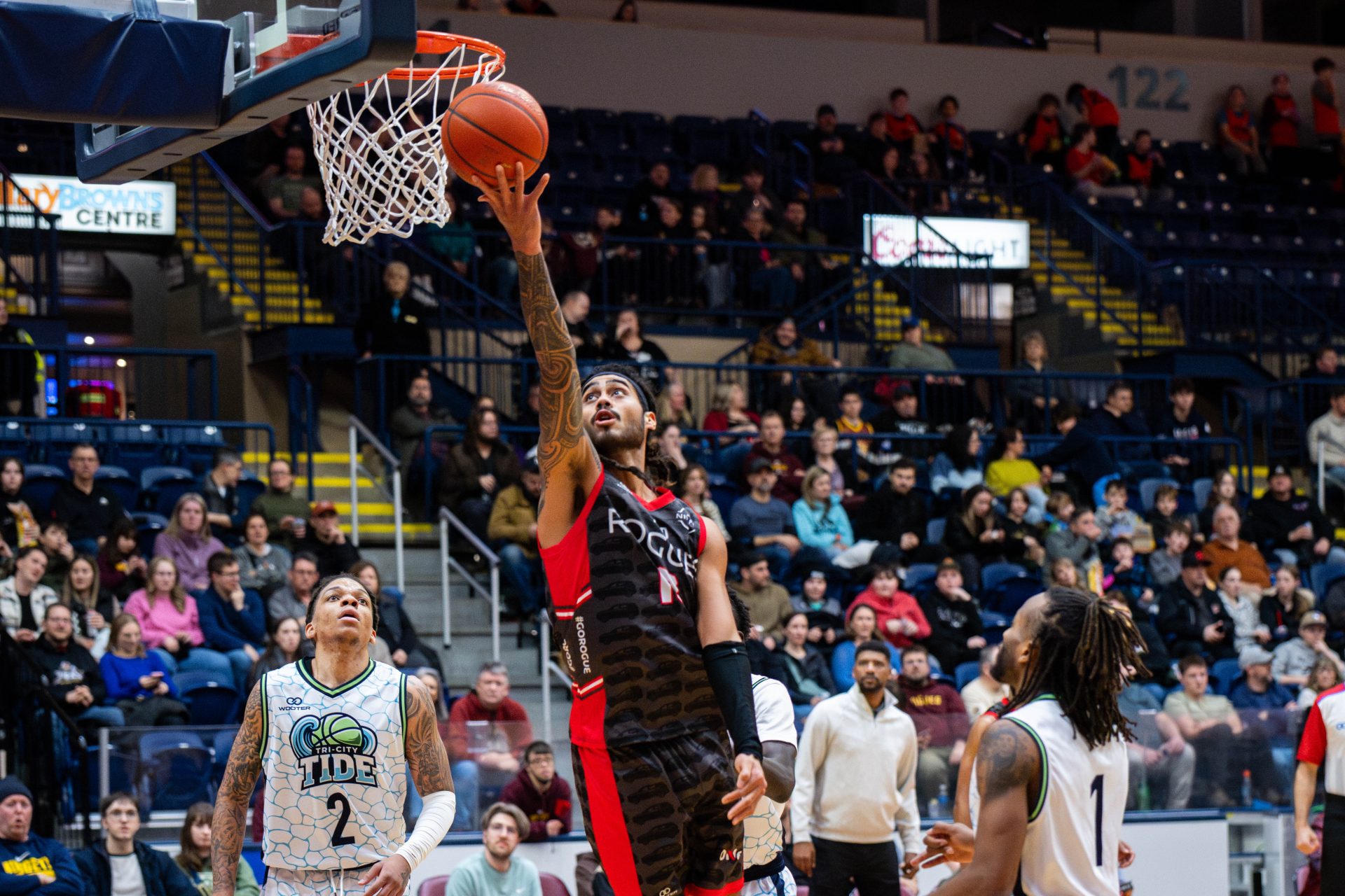 Rogues stay alive in win against Jackals - The Newfoundland Rogues