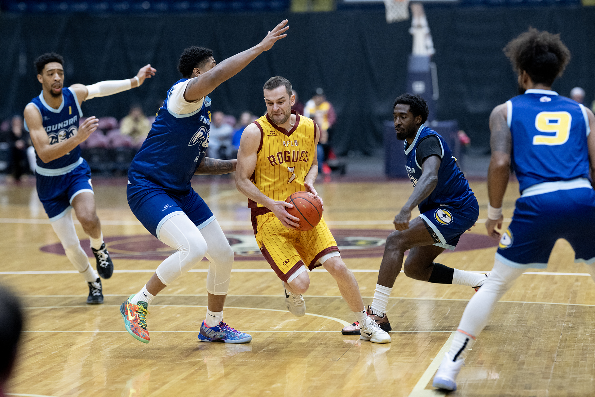 Rogues fall short in comeback versus Five - The Newfoundland Rogues
