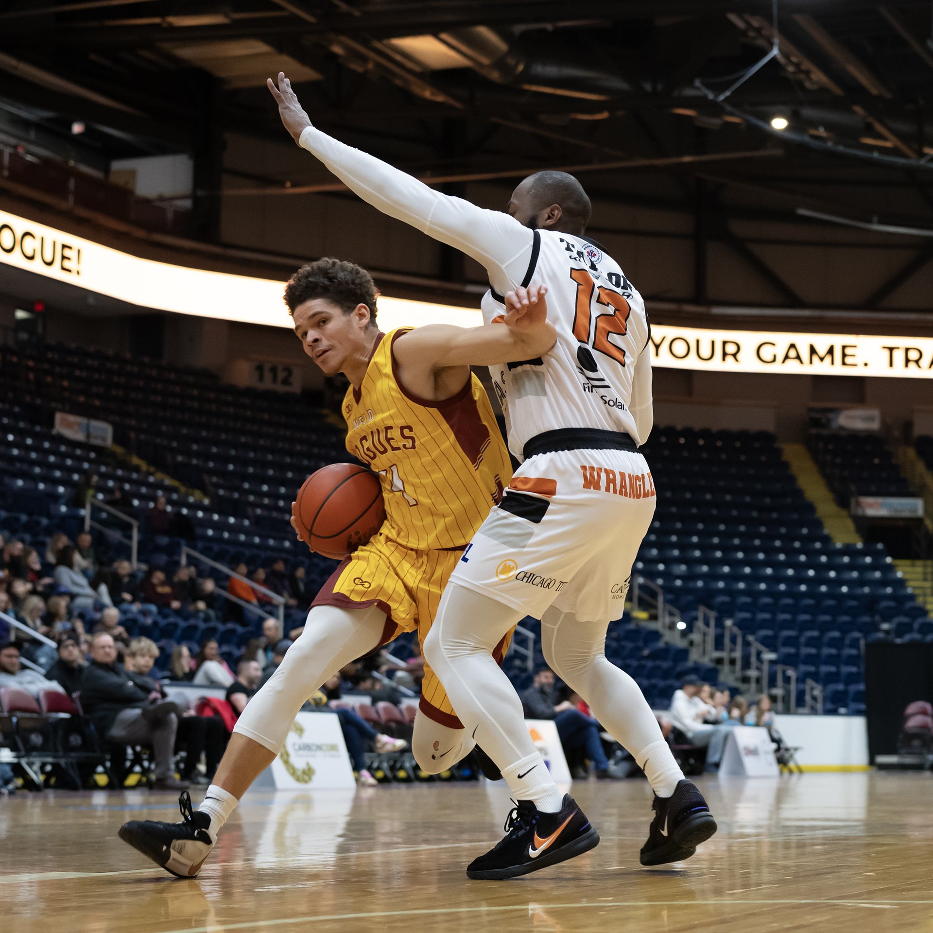 Rogues complete sweep against Wranglers - The Newfoundland Rogues