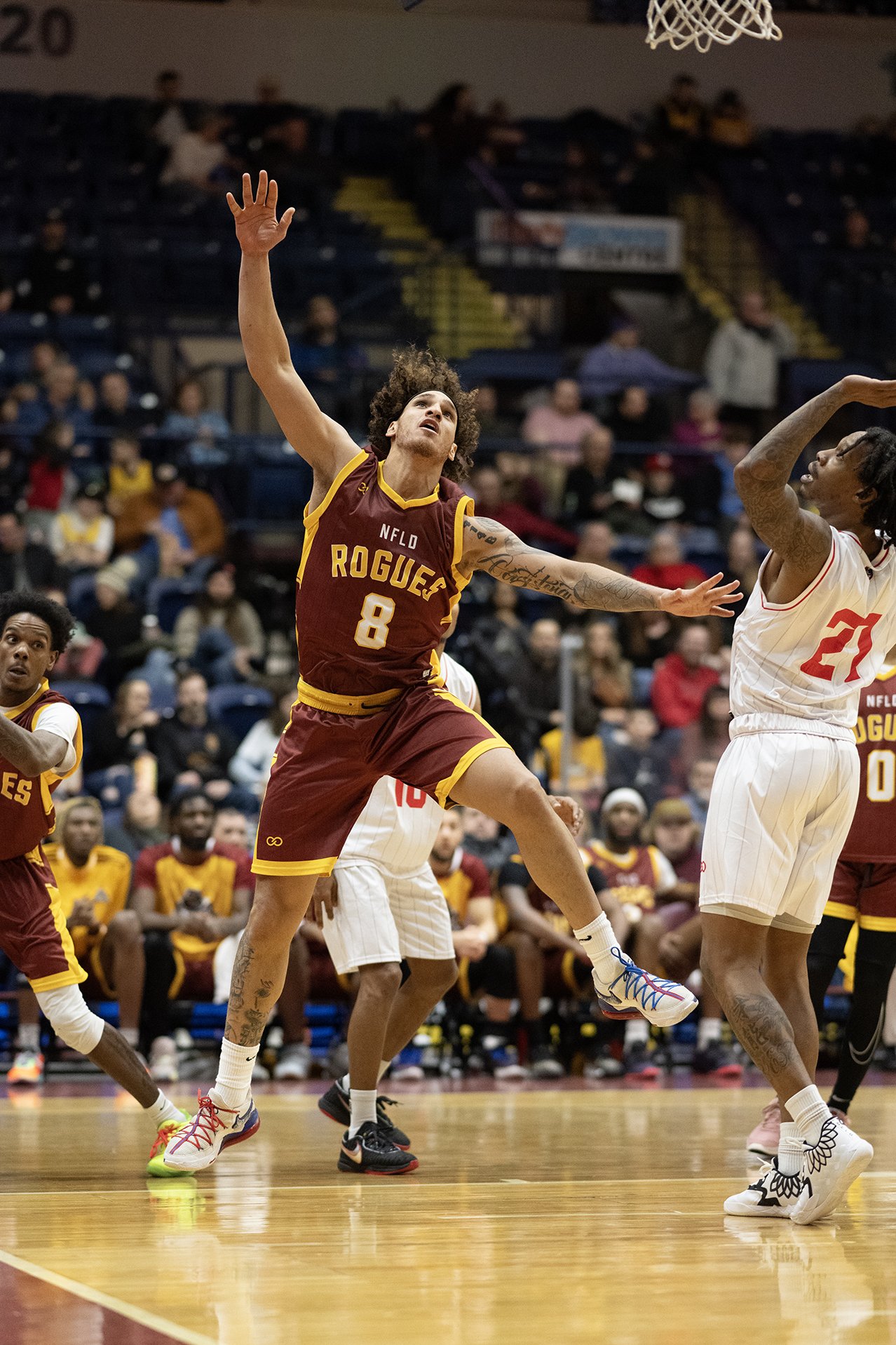 Rogues win big in Windsor - The Newfoundland Rogues